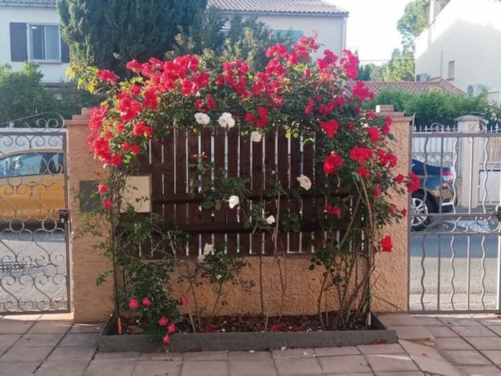 Maison 9 Pers (Piscine, Jardin, Parking Gratuit) - Avignon