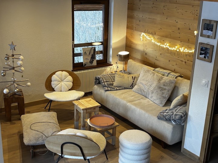 Un Cocon Au Pied Des Pistes Au Chinaillon - Le Grand-Bornand