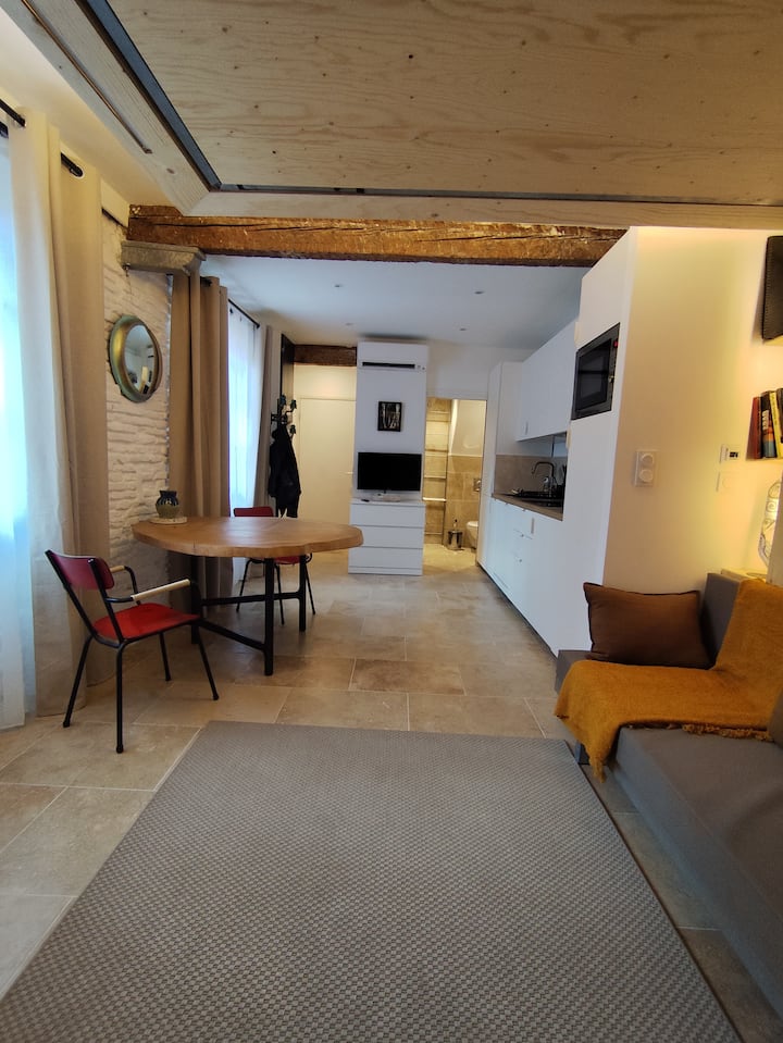 La Suite Du Ferronnier
-St Cyprien- - Toulouse