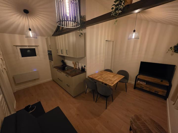 Leuk Huisje Vlak Bij Amsterdam En Haarlem - 荷蘭