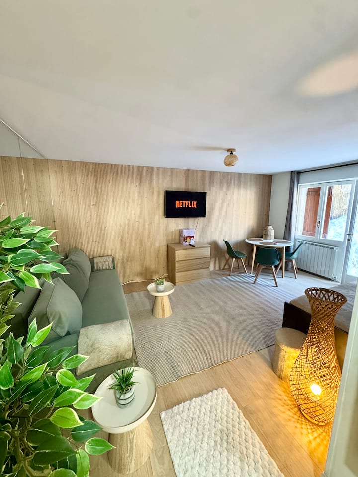 Appartement Au Pied De Pistes De Ski Smart Tv-wifi - Limone Piemonte