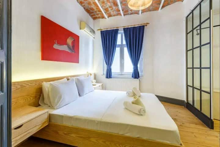 1br Historic Apartment | 15 Min Walk To Taksim - Beykoz