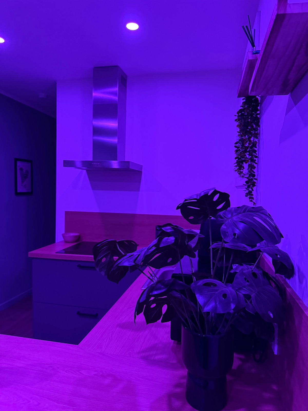 El Paréntesis Verde – T2 tranquilo y acogedor - Departamentos en renta ...