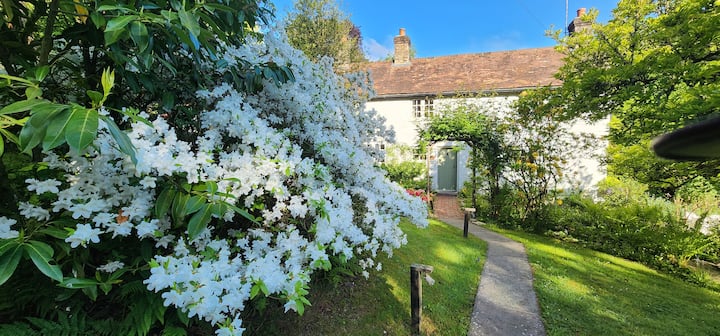18th Century Ashdown Forest Character Cottage - Crowborough