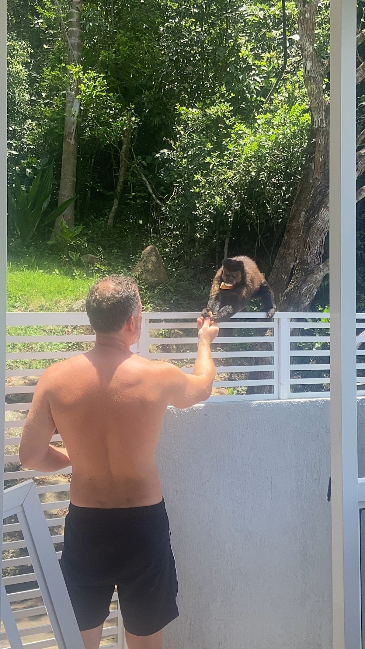 Loft Studio Ruhe, Komfort und tierfreundlich - Gästehäuser zur Miete in ...