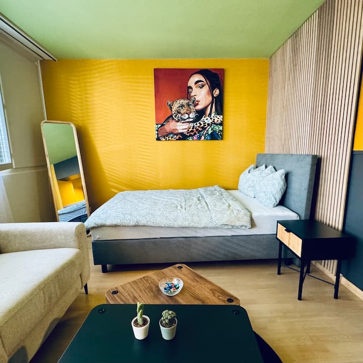 2 Wohnungen Selbes Haus Für 8 Gäste Inkl Breakfast - Berne