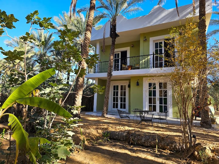 Dar Nymphaea - Tozeur