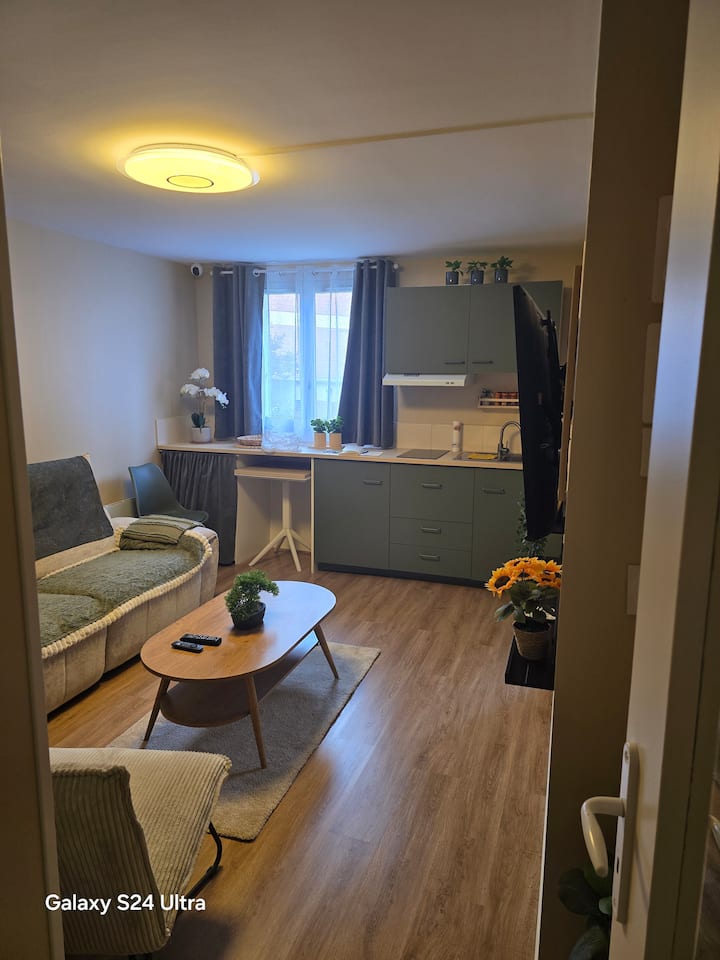 Appartement Avec Une Petite Chambre, 2 Lits - Tourcoing