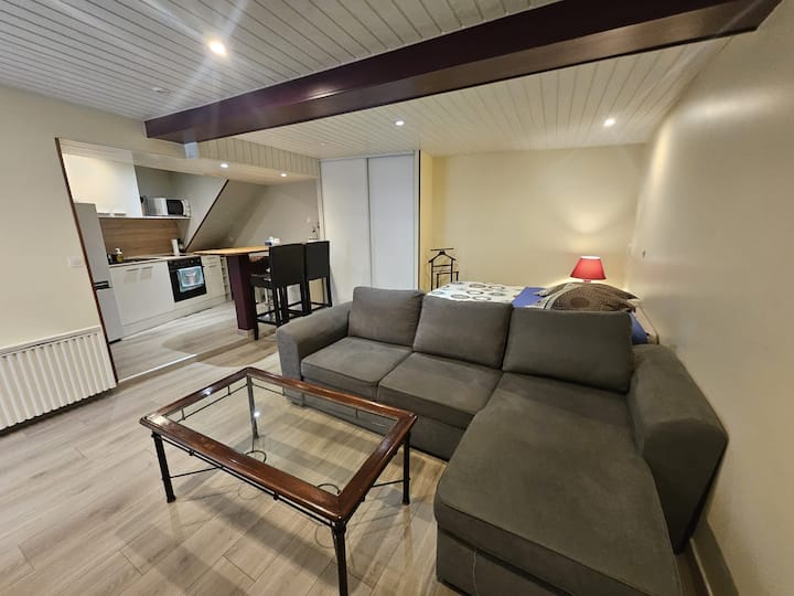 Le Studio D'auguste - Safari de Peaugres