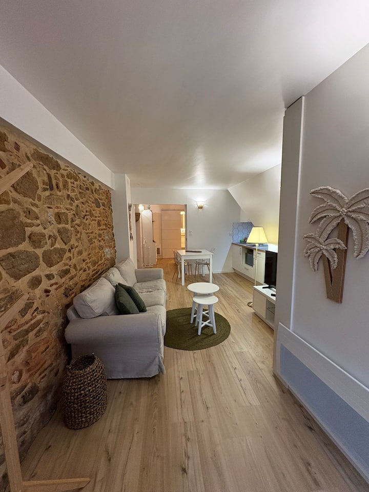 Charmant T2 Rénové - Centre De Dax, Tout à Pied - Dax