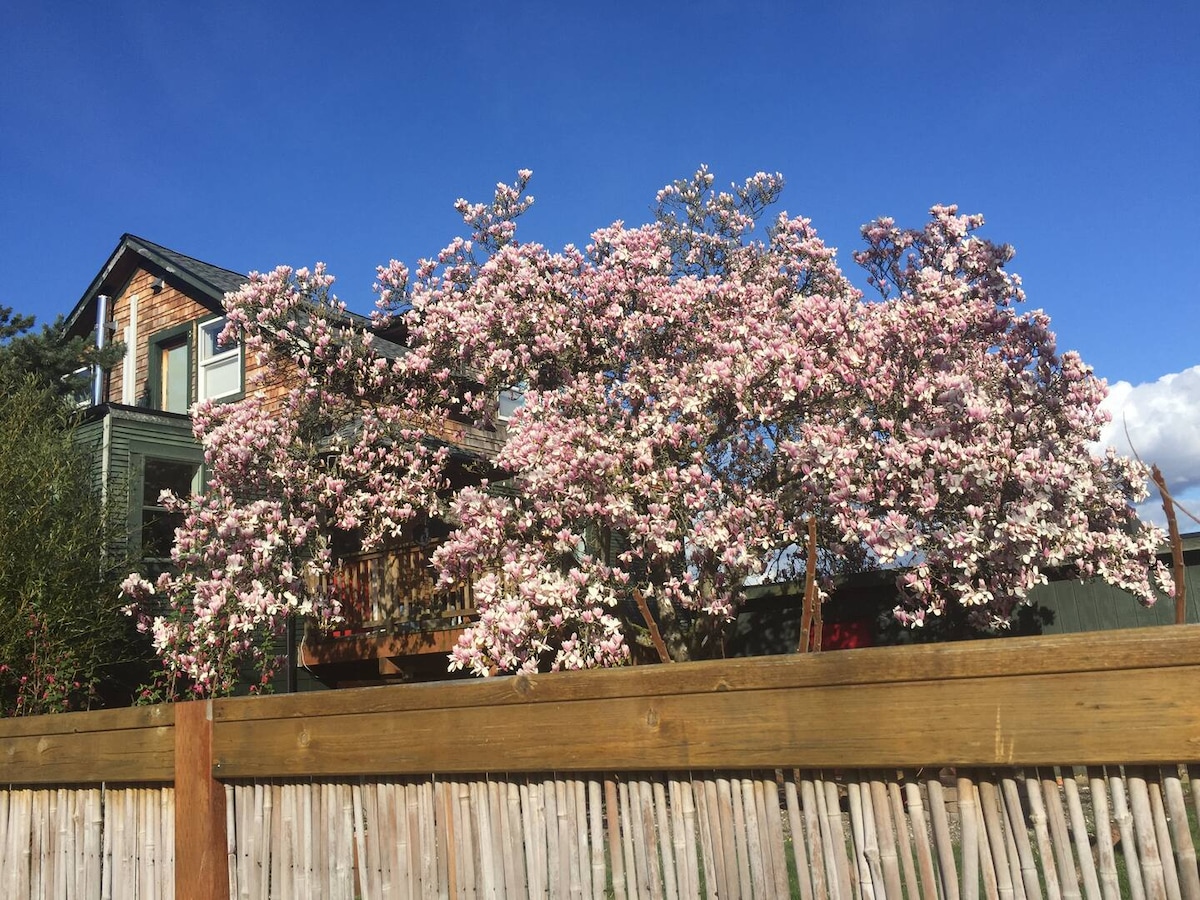 ¡Cálido y acogedor estudio en Seward Park! - Casas de huéspedes en ...