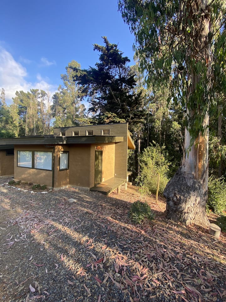 Ecocabaña Umak, Isla Negra - El Quisco