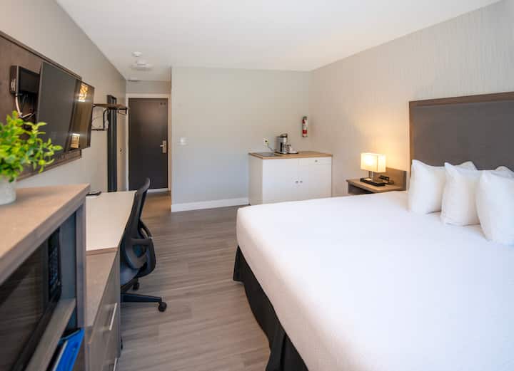 Modern Studio With Kitchenette On Porpoise Bay - Sechelt