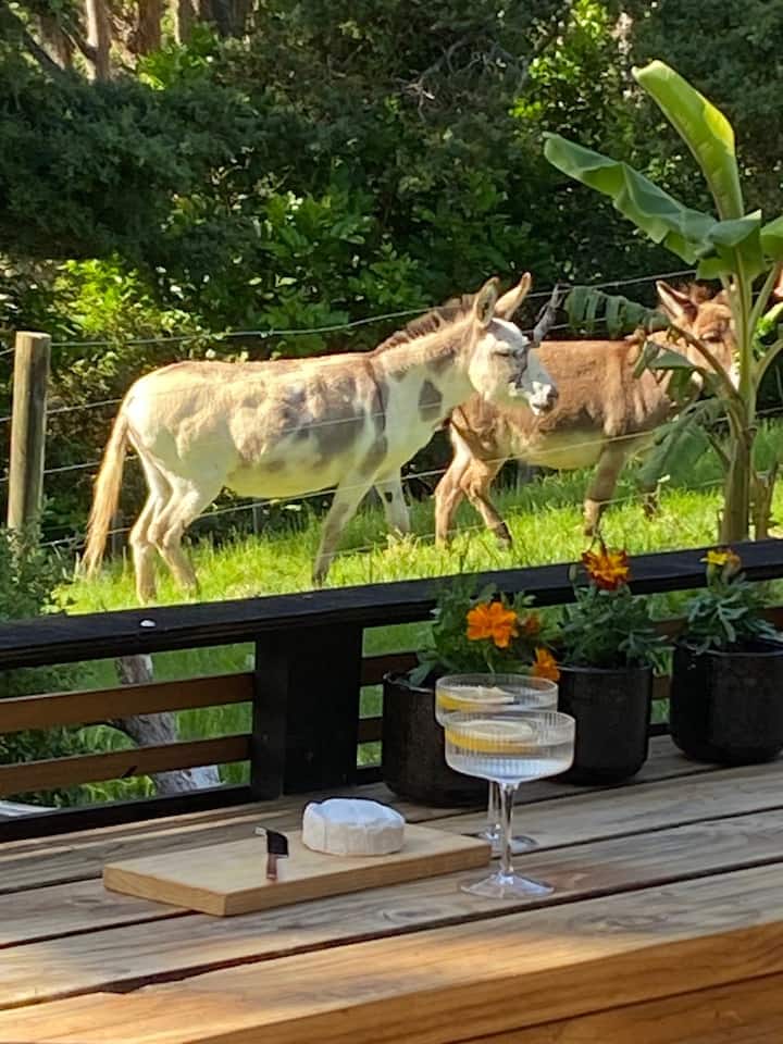 Ruru Cabin Matapouri - Northland