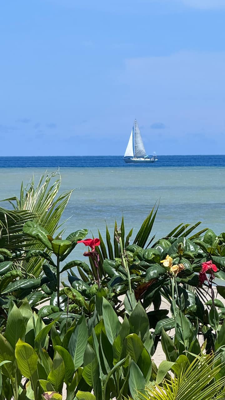 Bbh Studio 4 - Sipalay