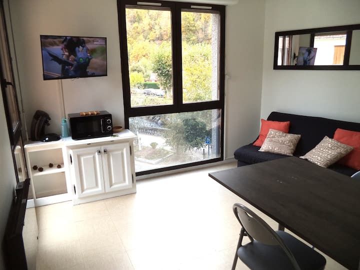 Appartement Centre Ville - 80 M Des Télécabines. - Ax-les-Thermes