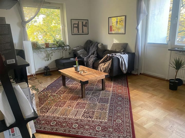 Big Two Room Apartment In The Heart Of Stockholm - Stockholm