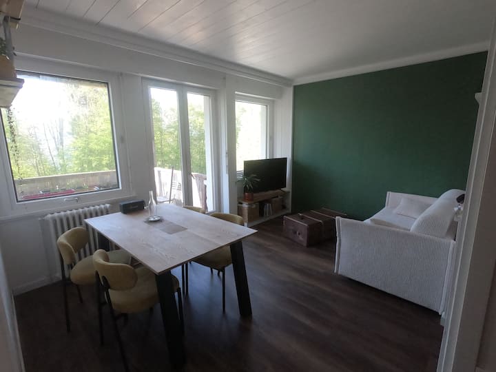 Appartement T2 Face Au Mont Blanc - Passy