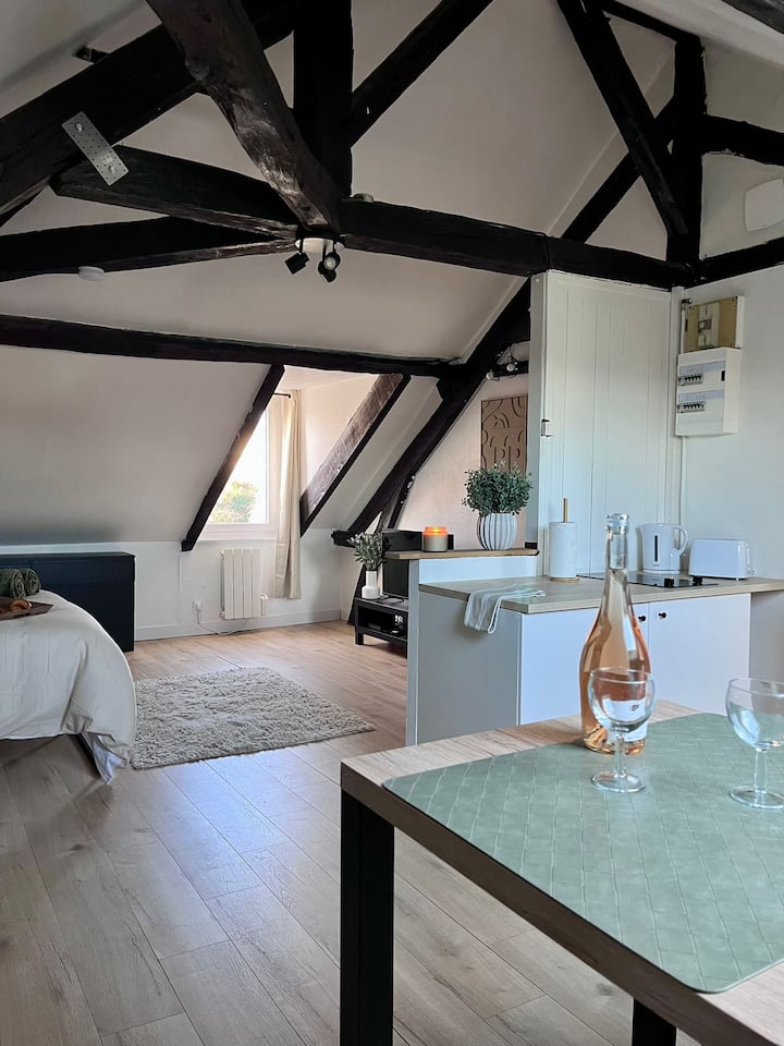 Grand Studio En Centre-ville De Clermont - Oise