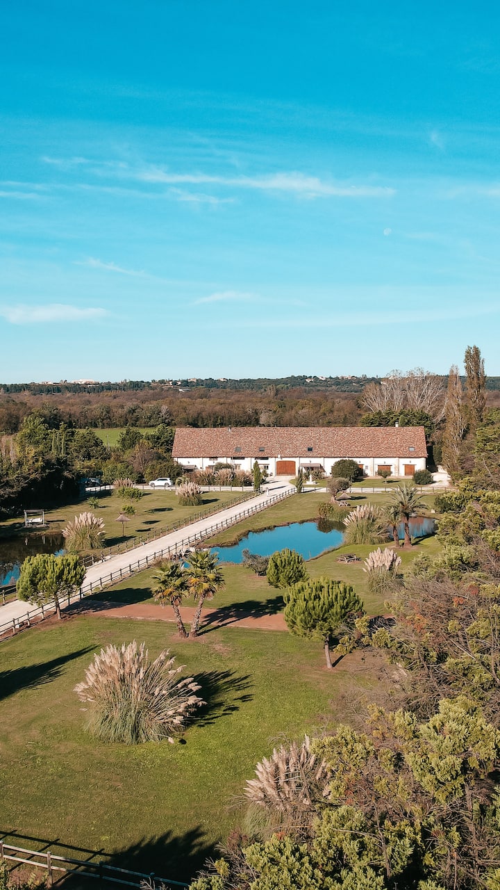 Mas Camarguais Avec Piscine 10 Personnes - Arles