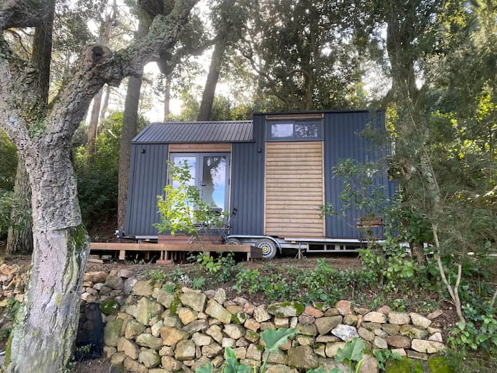 Tiny Clariana By Tiny Away - Calella