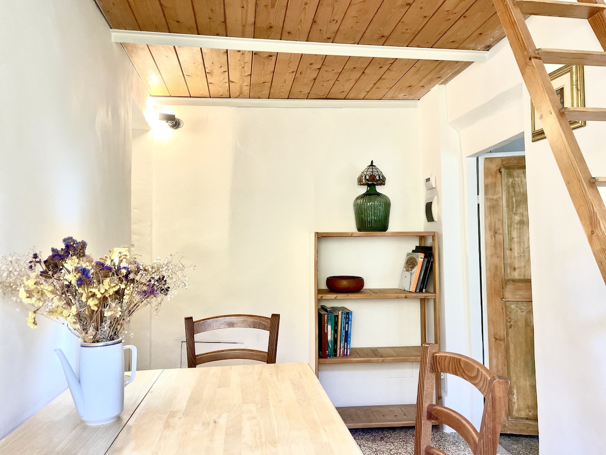 Boboli nest, en plein Oltrarno, excellent emplacement ! - Appartements ...