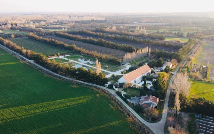 Mas Camarguais Domaine Entier, Pour 30 Personnes - Arles