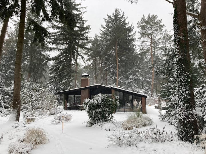 T Pareltje In 'T Giethmenseveld, Met Vrij Uitzicht - Ommen