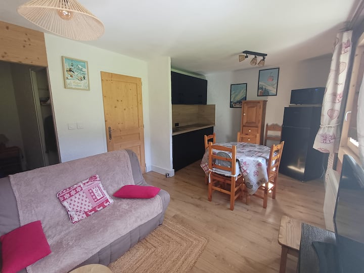 Appartement T2 Rénové - Proche Pistes Et Village - Les Carroz d'Arâches