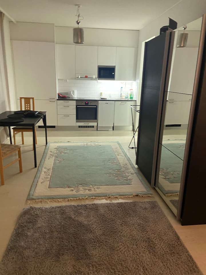 Hyvä Hieno Yksiö Lähellä Keskustaa. - Helsinki