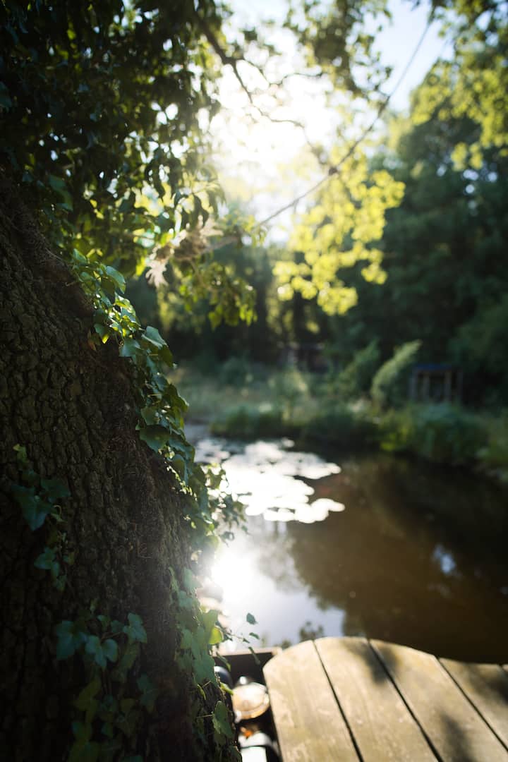 Gîte "La Source" (L'oasis De Serendip) - Crest