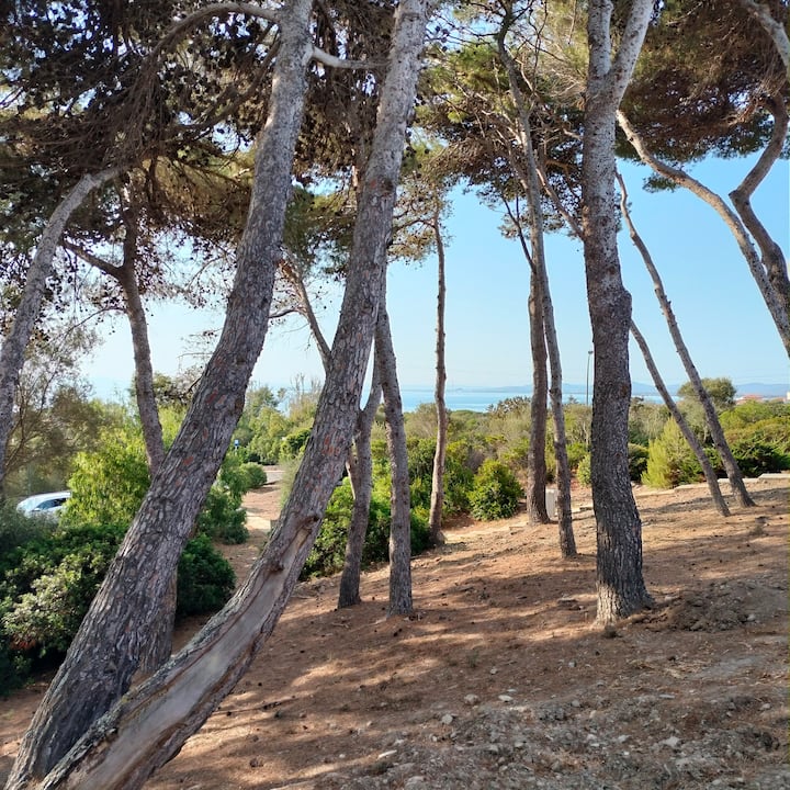 Cala Lupo,400m Da Spiaggia-cin It090089c2000u0204 - Stintino