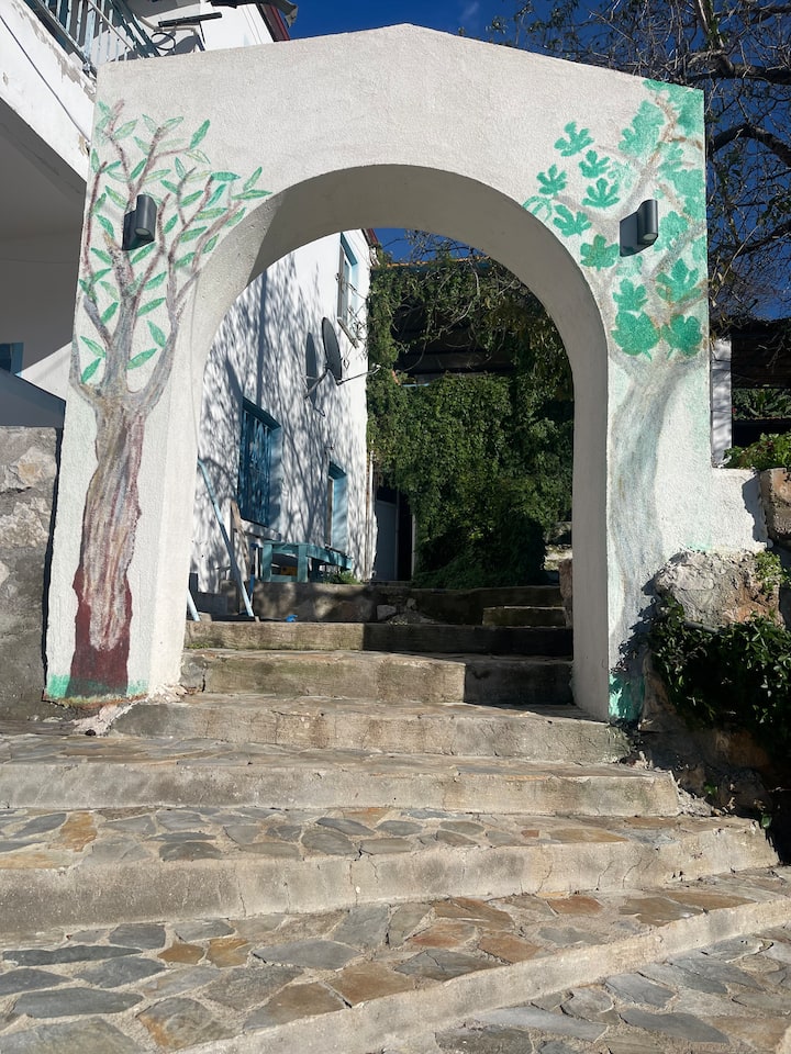 Söğüt Taşlıca Erol Köy Evi - Bozburun