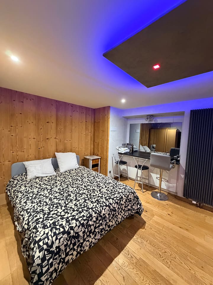 Spacious Cosy Room In A Flat Share With Terrace - Strasbourg