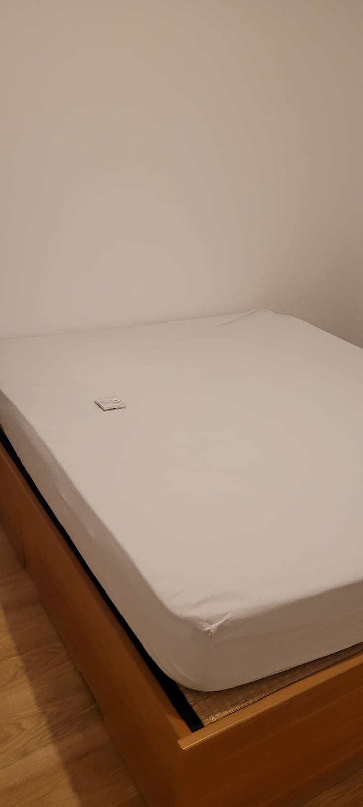 Je Loue Une Chambre Très Agréable - Annecy-le-Vieux