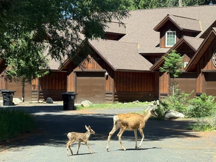 Cozy Retreat In Fairway Pines, On Birch #4 Fairway - McCall, ID