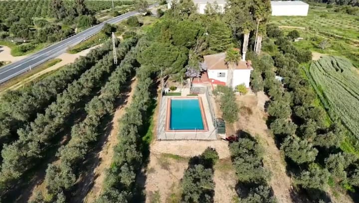 Finca El Palmar · Piscina Y Naturaleza - Niebla