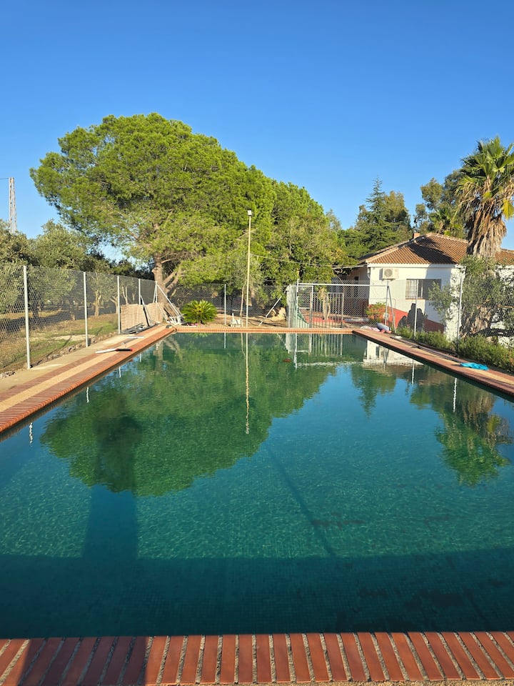 Finca El Palmar · Piscina Y Naturaleza - Niebla
