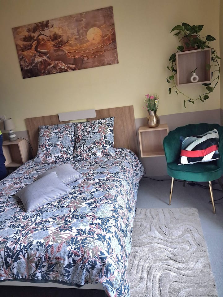 Studio éLégant Rdc, Proche Thermes Et Casino . - La Roche-Posay