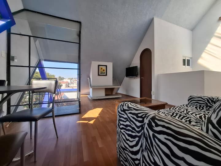 Fun Little Suite - Toluca