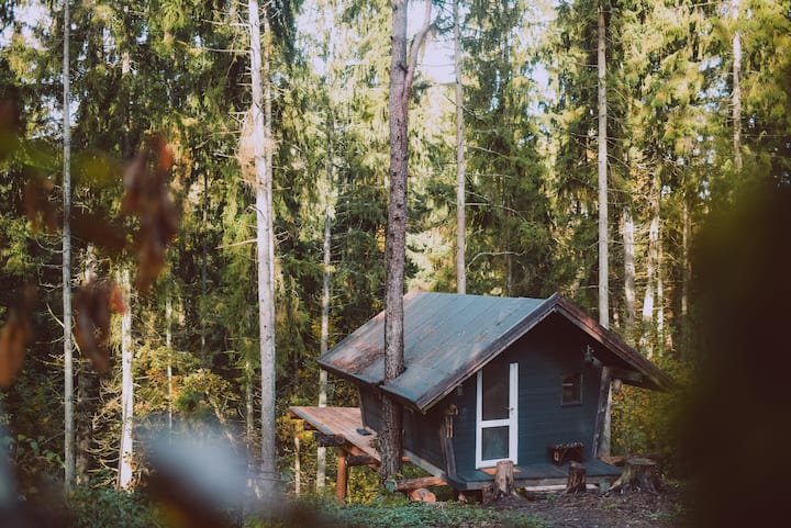 Alūna House - Lituania