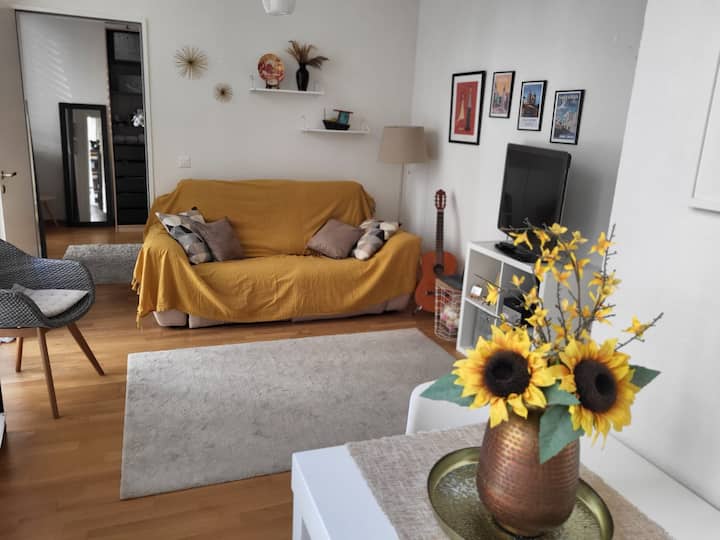 Excelente Apartamento E Bem Localizado. - Morges