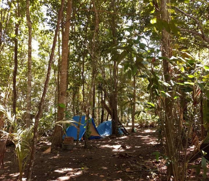 Camping Da Mata - Itacaré