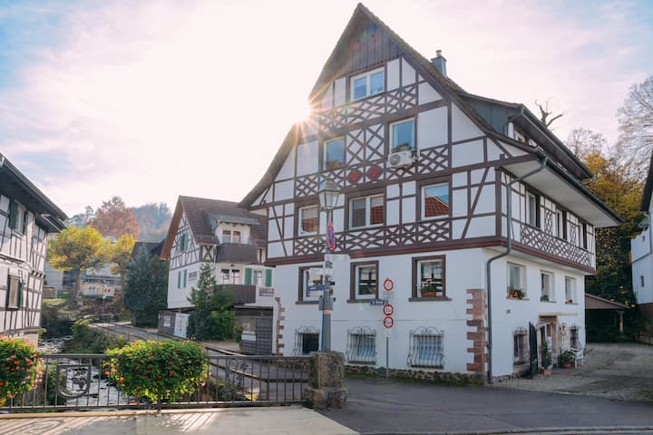 New Fully Equipped Apartment – Bookable April 2026 - Sasbachwalden