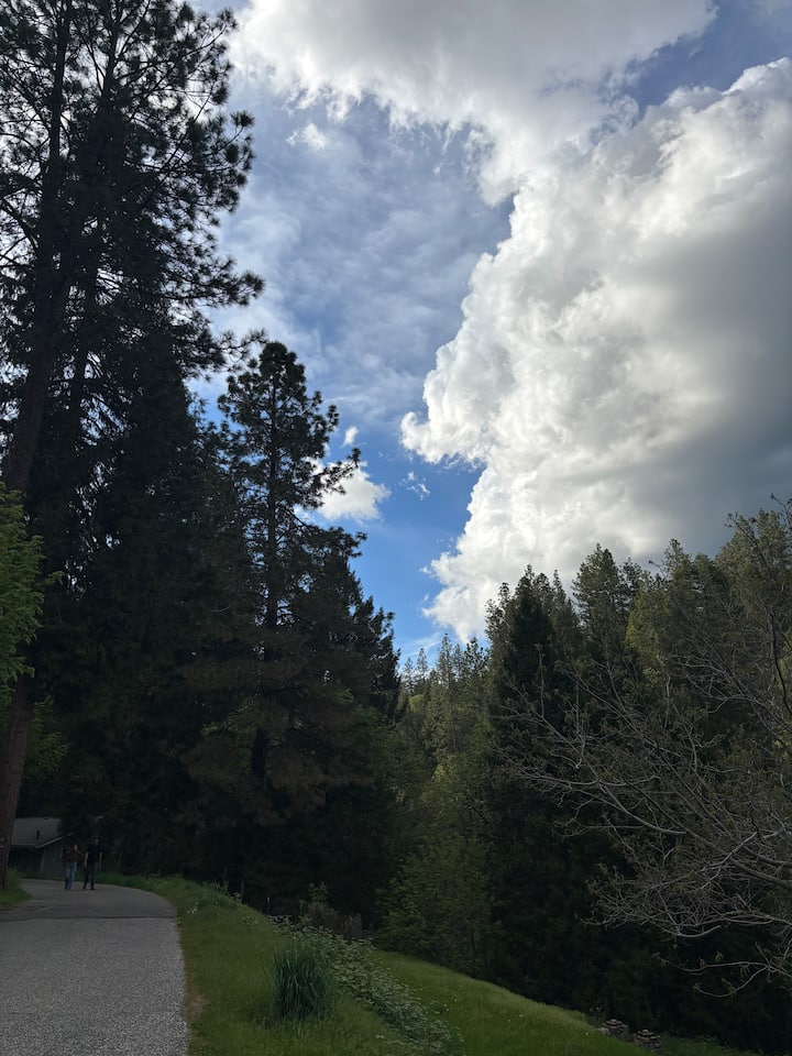 Nevada City Creekside Sauna Retreat - Grass Valley, CA