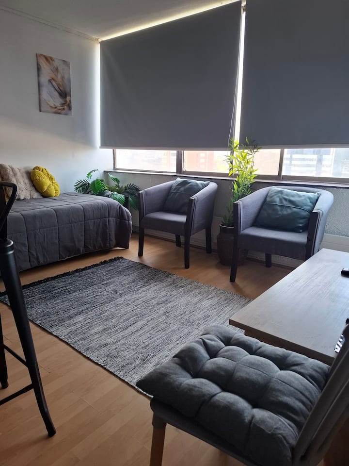 Cómodo Departamento - Providencia