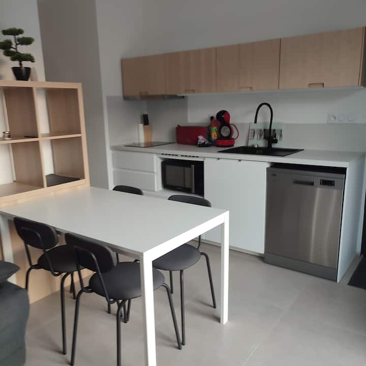 T2 Neuf & Climatisé-mer-montagne-espagne-thermes - Céret