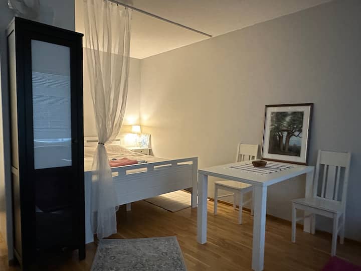 Yksiö Lähellä Palveluja - Mikkeli