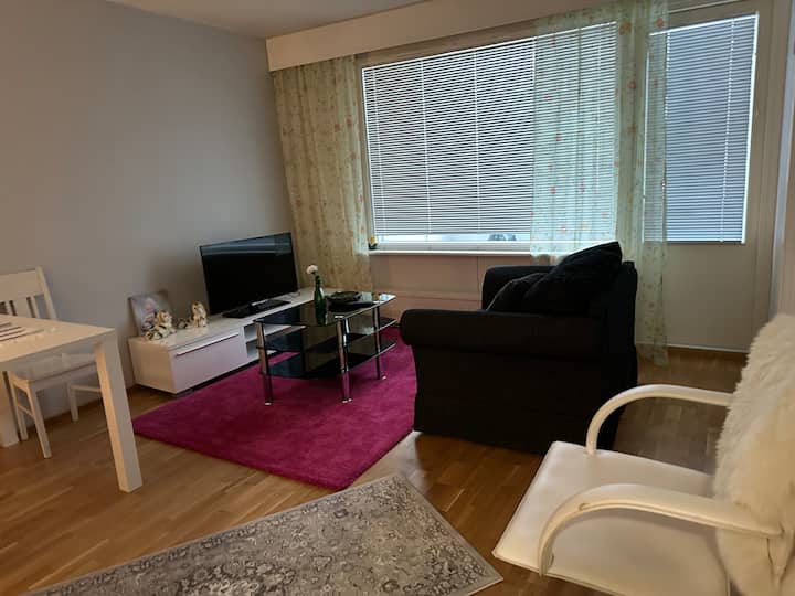 Yksiö Lähellä Palveluja - Mikkeli