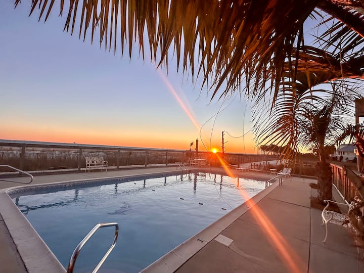 The Salty Dauphin - Dauphin Island, AL